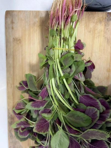 红苋菜的做法有几种_红苋菜怎么炒好吃-第1张图片-山城妙识