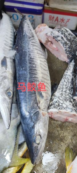 马鲛咸鱼多少钱一斤_马鲛咸鱼价格行情-第1张图片-山城妙识