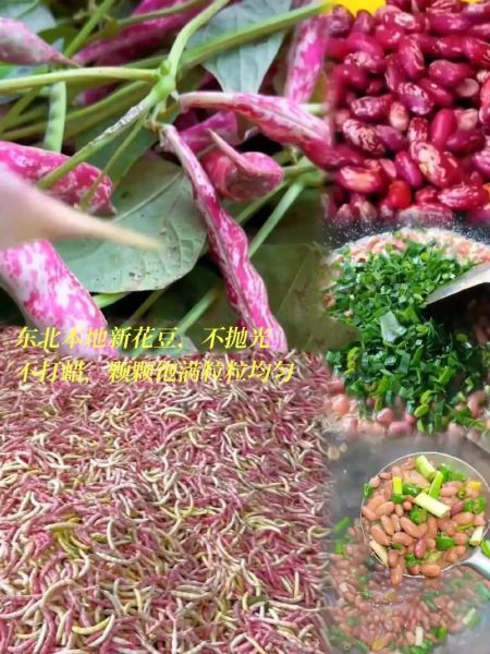 花芸豆怎么吃_花芸豆的做法大全-第3张图片-山城妙识