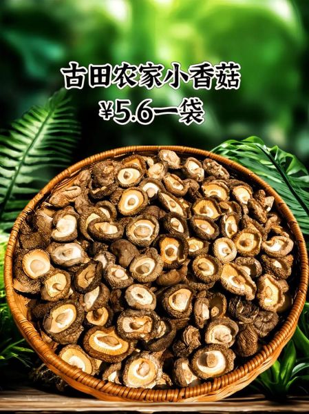 香菇产地哪里最好_如何挑选优质香菇-第1张图片-山城妙识