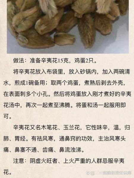 辛夷花治疗鼻炎的绝招_辛夷花怎么用效果最好-第1张图片-山城妙识