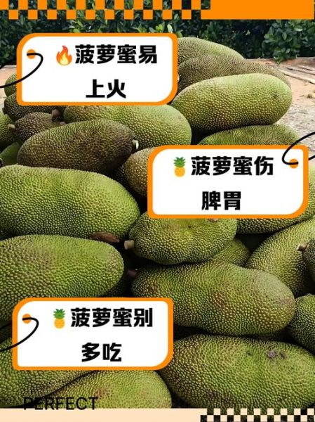 菠萝蜜一次吃太多会怎样_吃多后多久能缓解-第2张图片-山城妙识 菠萝蜜一次吃太多会怎样_吃多后多久能缓解-第2张图片-山城妙识