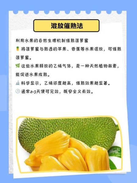 菠萝蜜一次吃太多会怎样_吃多后多久能缓解-第1张图片-山城妙识 菠萝蜜一次吃太多会怎样_吃多后多久能缓解-第1张图片-山城妙识