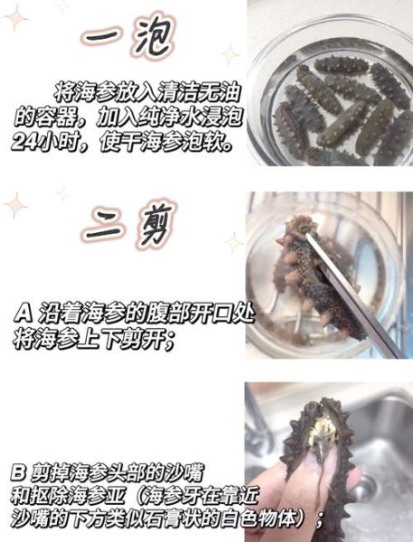 新鲜海参怎么吃_海参怎么泡发才正确-第2张图片-山城妙识 新鲜海参怎么吃_海参怎么泡发才正确-第2张图片-山城妙识