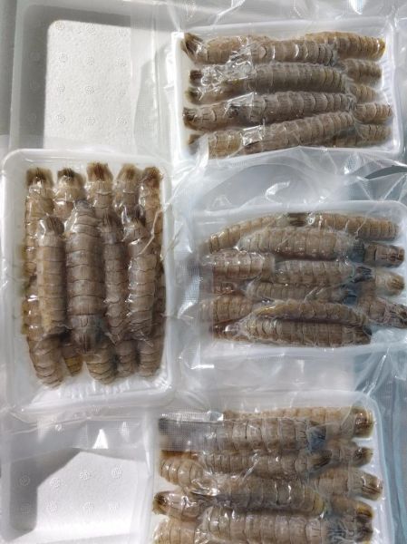 爬爬虾怎么剥_爬爬虾怎么吃图解-第3张图片-山城妙识 爬爬虾怎么剥_爬爬虾怎么吃图解-第3张图片-山城妙识