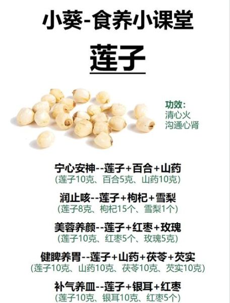 莲子怎么吃最养生_莲子功效与禁忌有哪些-第2张图片-山城妙识 莲子怎么吃最养生_莲子功效与禁忌有哪些-第2张图片-山城妙识