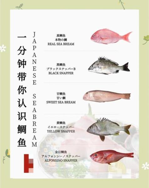 鲷鱼烧日语怎么读_鲷鱼烧为什么叫たい焼き-第2张图片-山城妙识