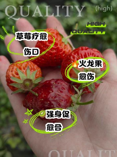 吃什么水果对伤口恢复快_促进伤口愈合的水果有哪些-第2张图片-山城妙识 吃什么水果对伤口恢复快_促进伤口愈合的水果有哪些-第2张图片-山城妙识