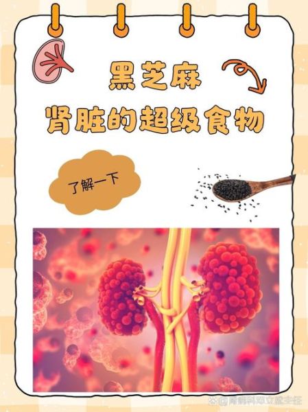 黑芝麻怎么吃最补肾_黑芝麻的神奇功效有哪些-第2张图片-山城妙识