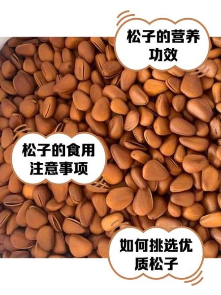 野生松子长什么样_野生松子与种植松子区别-第2张图片-山城妙识 野生松子长什么样_野生松子与种植松子区别-第2张图片-山城妙识