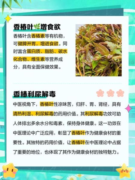 香椿叶子怎么吃_香椿叶子有毒吗-第1张图片-山城妙识 香椿叶子怎么吃_香椿叶子有毒吗-第1张图片-山城妙识