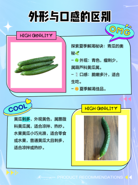 青瓜和黄瓜的区别_哪个更脆更甜-第3张图片-山城妙识 青瓜和黄瓜的区别_哪个更脆更甜-第3张图片-山城妙识