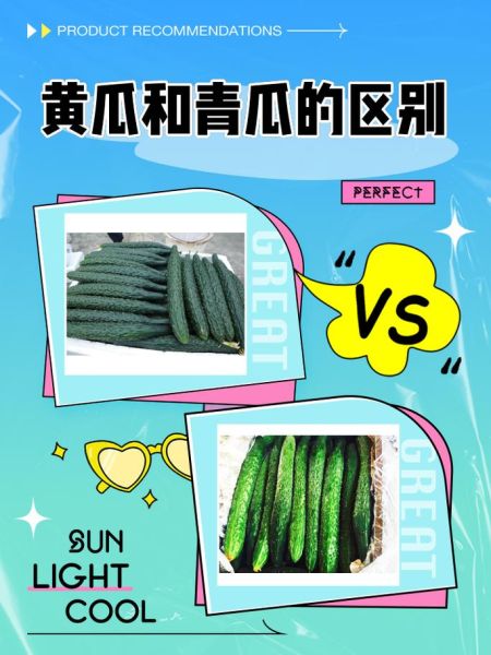 青瓜和黄瓜的区别_哪个更脆更甜-第1张图片-山城妙识 青瓜和黄瓜的区别_哪个更脆更甜-第1张图片-山城妙识