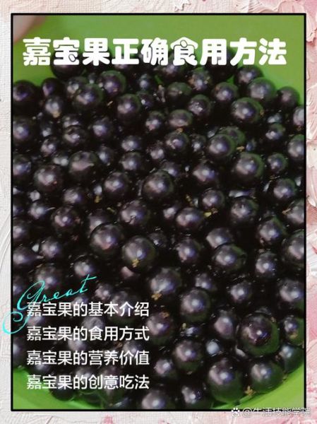 嘉宝果怎么吃_嘉宝果的正确吃法-第1张图片-山城妙识