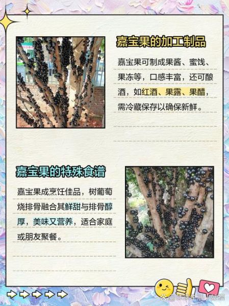 嘉宝果怎么吃_嘉宝果的正确吃法-第2张图片-山城妙识