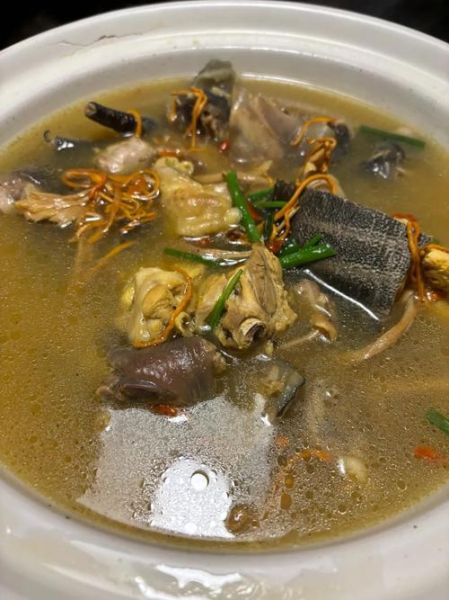 甲鱼怎么杀_甲鱼汤怎么炖最补-第1张图片-山城妙识