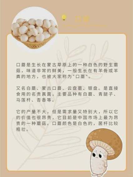 草菇长什么样_草菇和口蘑区别-第2张图片-山城妙识 草菇长什么样_草菇和口蘑区别-第2张图片-山城妙识