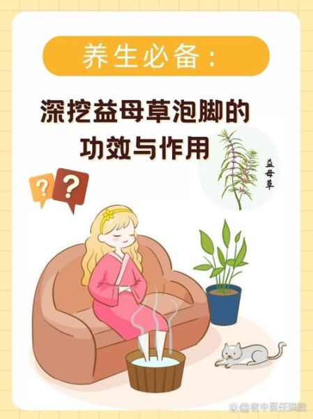 益母草泡脚的功效与作用_益母草泡脚的正确方法-第1张图片-山城妙识