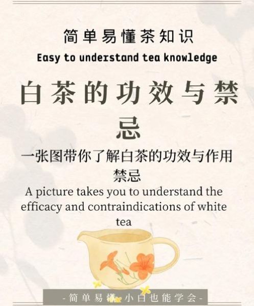 白茶的功效与作用及禁忌_白茶适合什么人喝-第2张图片-山城妙识 白茶的功效与作用及禁忌_白茶适合什么人喝-第2张图片-山城妙识