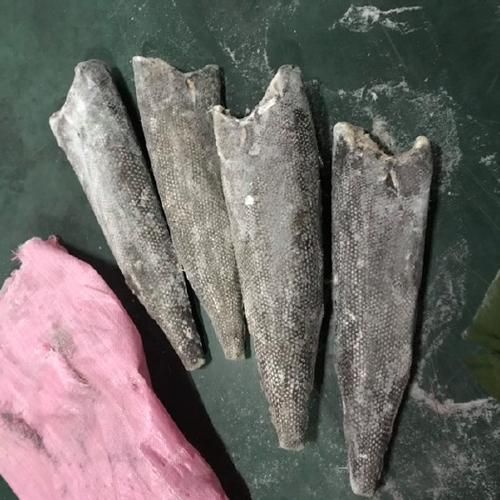 龙鳕鱼图片_龙鳕鱼长什么样-第1张图片-山城妙识