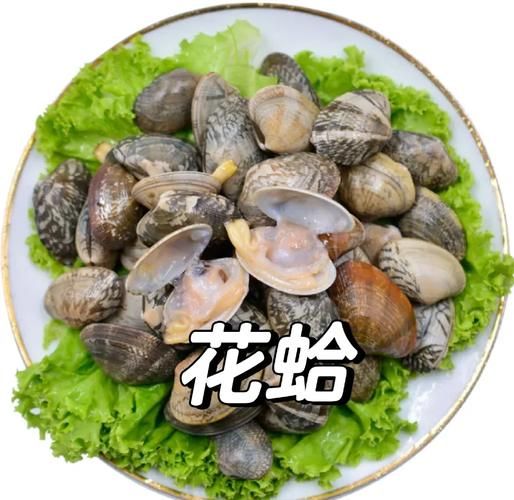 蛤蜊怎么读_蛤蜊读音正确吗-第3张图片-山城妙识