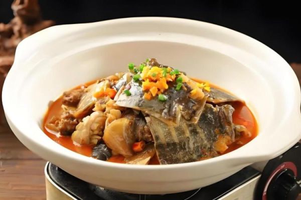 甲鱼怎么做好吃又补_甲鱼炖汤用什么配料最滋补-第1张图片-山城妙识 甲鱼怎么做好吃又补_甲鱼炖汤用什么配料最滋补-第1张图片-山城妙识