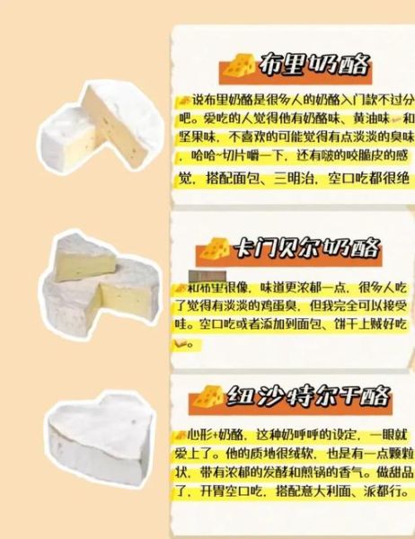 奶酪有哪些种类_奶酪怎么吃才好吃-第2张图片-山城妙识 奶酪有哪些种类_奶酪怎么吃才好吃-第2张图片-山城妙识