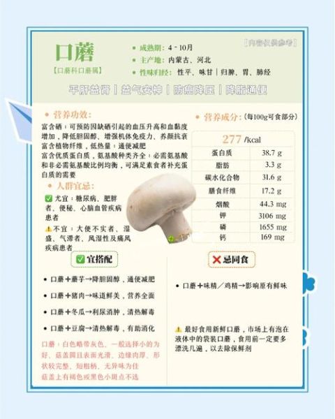 白蘑菇不能和什么一起吃_白蘑菇食物相克大全-第1张图片-山城妙识 白蘑菇不能和什么一起吃_白蘑菇食物相克大全-第1张图片-山城妙识