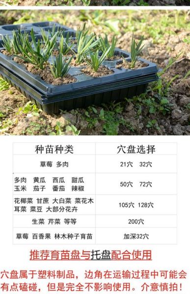 芽苗菜种植盘怎么选_芽苗菜种植盘哪种好-第1张图片-山城妙识 芽苗菜种植盘怎么选_芽苗菜种植盘哪种好-第1张图片-山城妙识