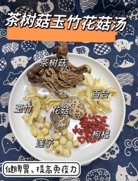 茶树菇素汤怎么煲_茶树菇素汤的做法大全-第1张图片-山城妙识