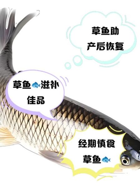 草鱼的营养价值_草鱼吃了有什么好处-第2张图片-山城妙识
