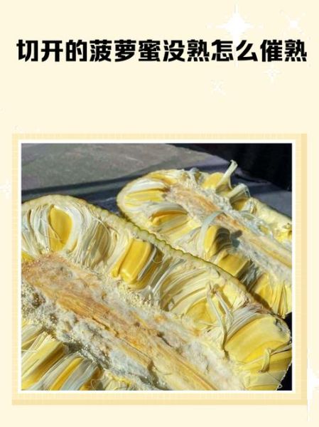 菠萝蜜怎么开_菠萝蜜切开技巧-第2张图片-山城妙识