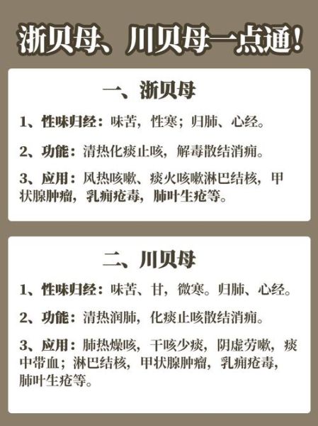 贝母的功效与作用_川贝母和浙贝母区别-第2张图片-山城妙识