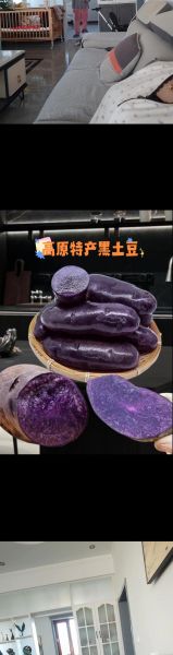 黑土豆不能和什么一起吃_黑土豆禁忌人群有哪些-第3张图片-山城妙识