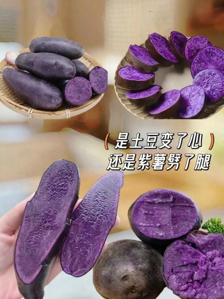 黑土豆不能和什么一起吃_黑土豆禁忌人群有哪些-第2张图片-山城妙识