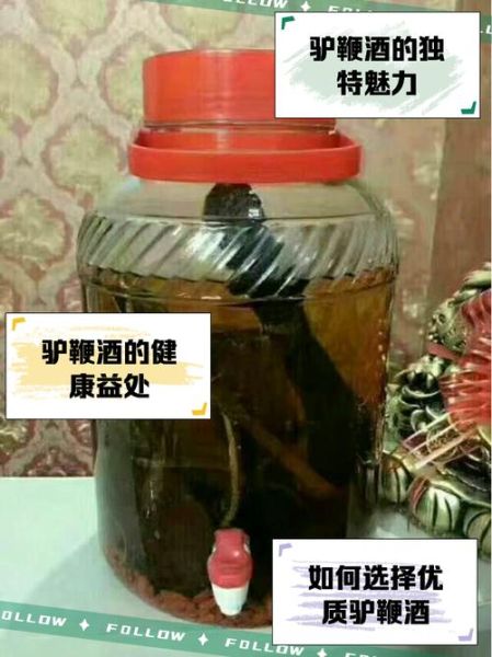 驴鞭怎么泡酒_驴鞭炖汤做法-第1张图片-山城妙识 驴鞭怎么泡酒_驴鞭炖汤做法-第1张图片-山城妙识