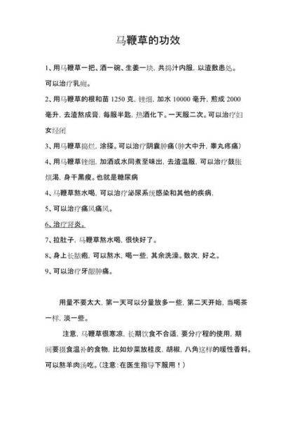 马鞭草的功效与作用有哪些_马鞭草怎么吃最好-第1张图片-山城妙识