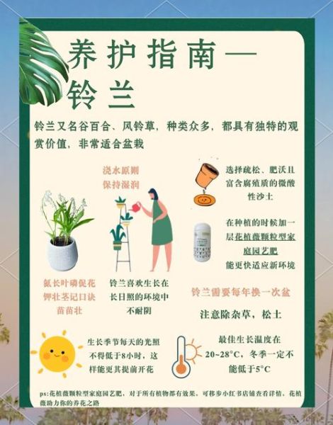 铃兰花怎么养_铃兰花什么时候开花-第2张图片-山城妙识