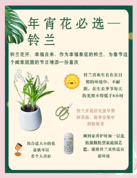 铃兰花怎么养_铃兰花什么时候开花-第3张图片-山城妙识