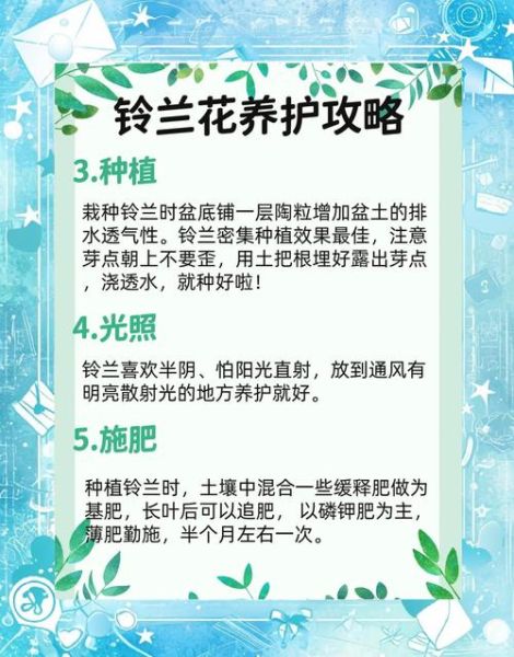 铃兰花怎么养_铃兰花什么时候开花-第1张图片-山城妙识