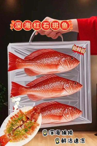 红星石斑鱼多少钱一斤_红星石斑鱼图片怎么分辨真假-第1张图片-山城妙识