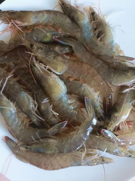 肯德基千丝万缕虾多少钱_肯德基千丝万缕虾好吃吗-第3张图片-山城妙识