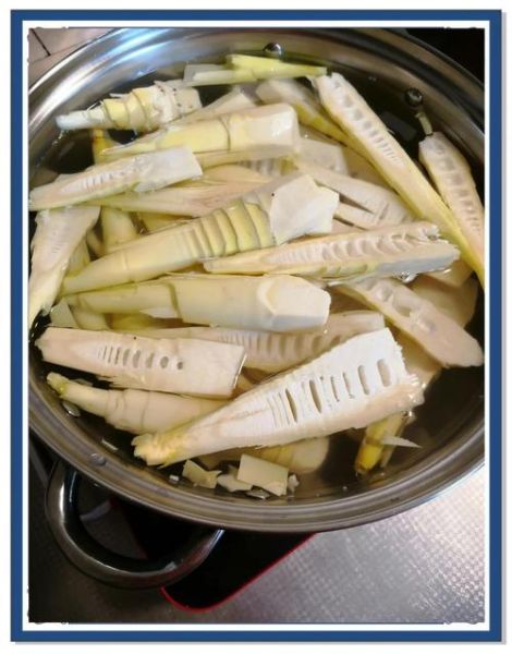 新鲜竹笋怎么做好吃_竹笋去涩味技巧-第3张图片-山城妙识