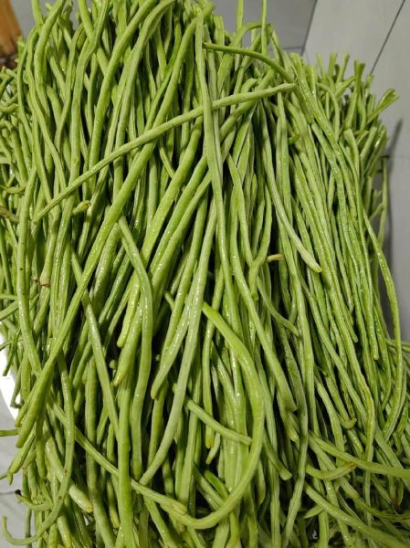 酸豇豆的功效与作用_酸豇豆能减肥吗-第1张图片-山城妙识