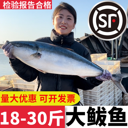 黄金鲅鱼为什么便宜_黄金鲅鱼价格低的真相-第3张图片-山城妙识 黄金鲅鱼为什么便宜_黄金鲅鱼价格低的真相-第3张图片-山城妙识