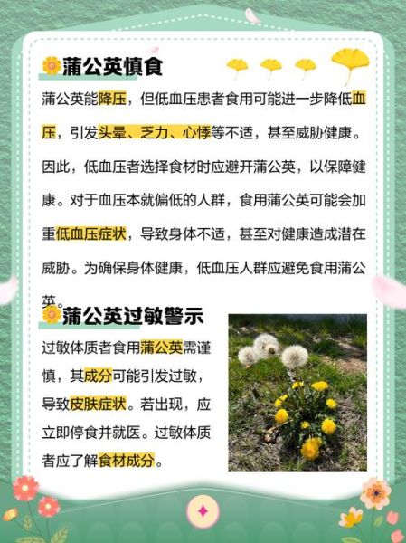 蒲公英不能和什么一起吃_蒲公英相克食物表-第1张图片-山城妙识