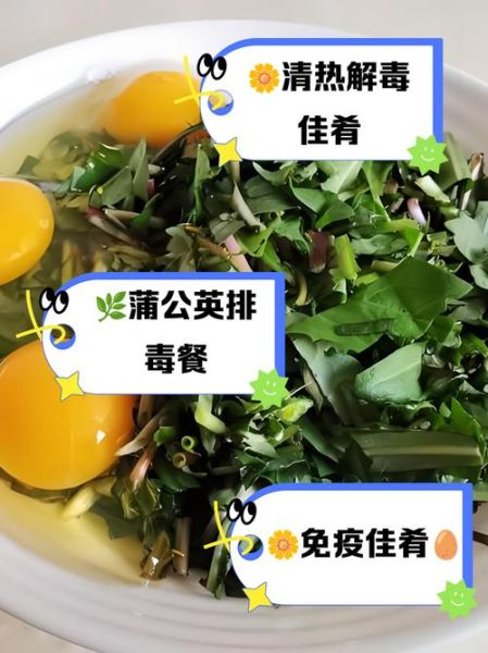 蒲公英不能和什么一起吃_蒲公英相克食物表-第3张图片-山城妙识