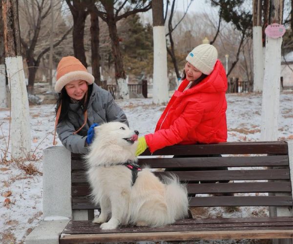 阳春白雪打一生肖是什么_阳春白雪对应的生肖有哪些说法-第2张图片-山城妙识