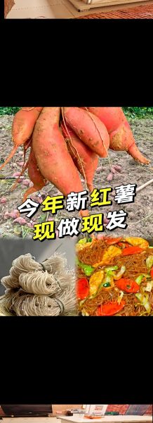 红薯粉条怎么煮才好吃_红薯粉条煮多久才软-第1张图片-山城妙识