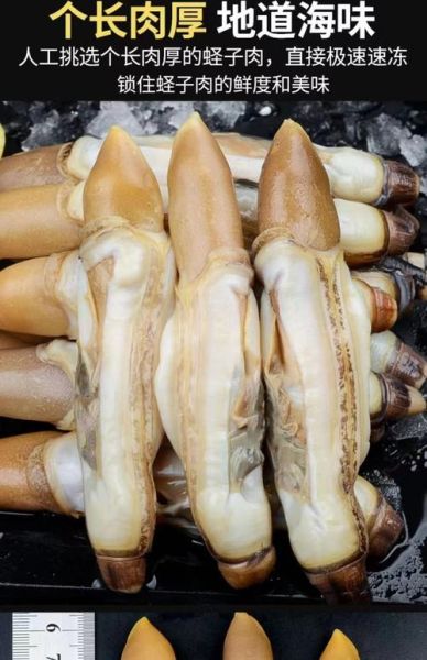 冷冻蛏子肉怎么做好吃_冷冻蛏子肉的做法大全-第2张图片-山城妙识 冷冻蛏子肉怎么做好吃_冷冻蛏子肉的做法大全-第2张图片-山城妙识
